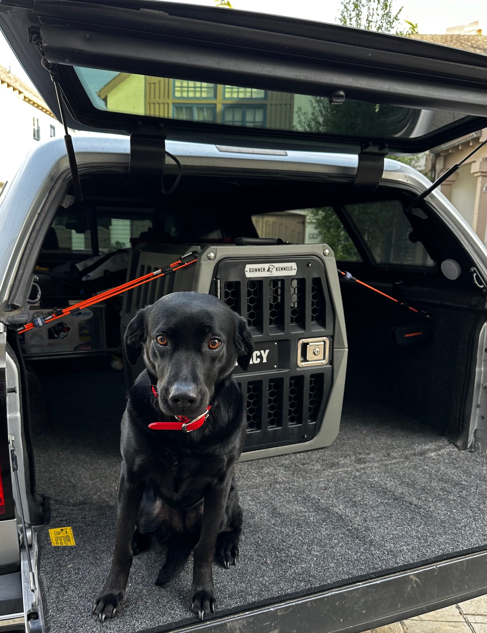 Everything Rope Multi Use Bungee Cord, These 5' Adjustable Bungee Cord